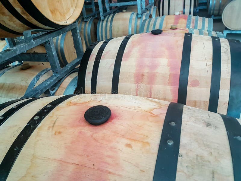Many Wine Barrels in a Cellar Stock Photo - Image of barrels, container ...