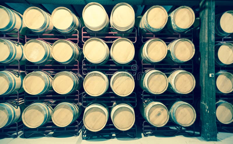 Many Wooden Barrels in Rows Stock Photo - Image of container, group ...