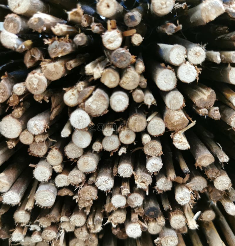 Many Wooden Branches Close Up Photo. Top View, Selective Colors Stock ...