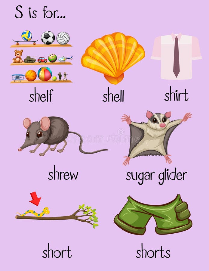 Many Words Begin With Letter S Stock Vector - Illustration of ...