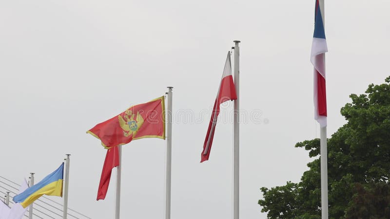 World Flags Clouds stock video. Video of pole, global - 249206777