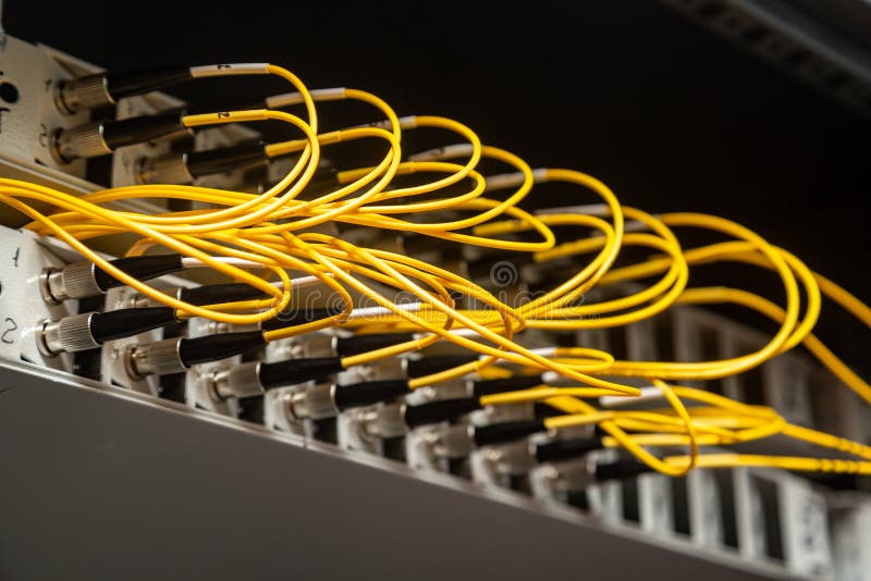 Many Yellow Fiber Optic Cables are Inserted into the Switches in ...