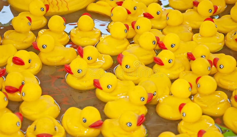Many Yellow Rubber Ducks Floating in Water Stock Photo - Image of ducks ...