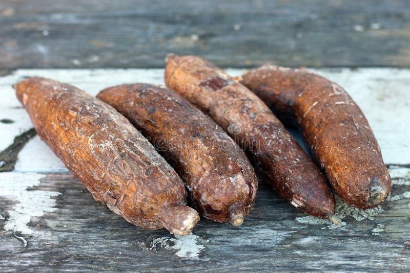 Yucca root stock image. Image of ingredient, white, brown - 31615539