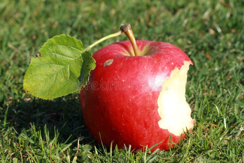 Manzana Mordida En El Refrigerador Foto de archivo - Imagen de dieta ...