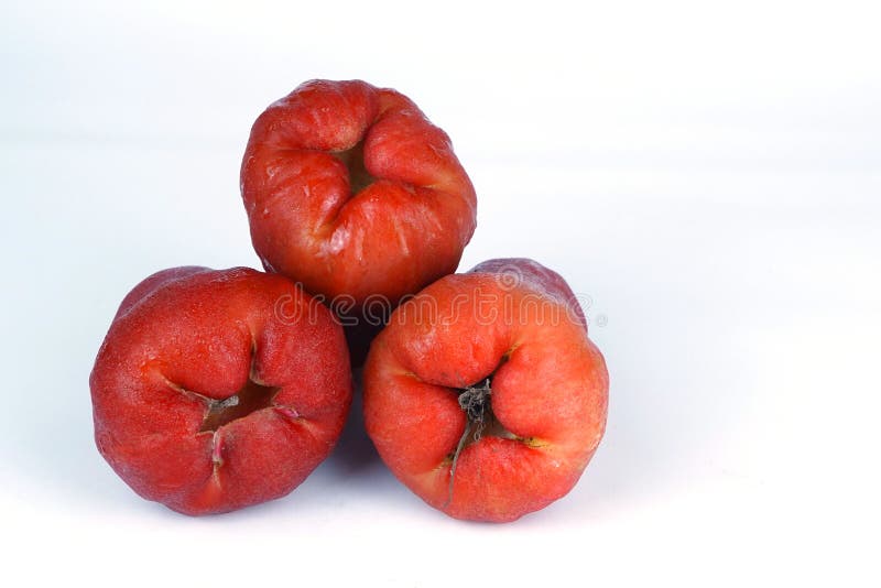Manzanas De Java O Aire De Jambu En Indonesio Aislado Con Fondo Blanco ...