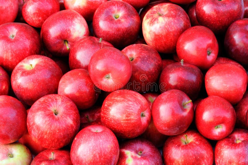 Manzanas rojas imagen de archivo. Imagen de fondos, alimento - 10923633