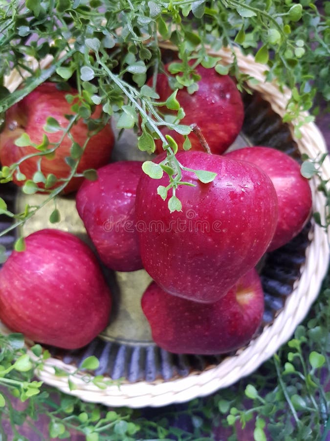 Manzanas Rojas En La Canasta Y La Hoja Foto de archivo - Imagen de ...