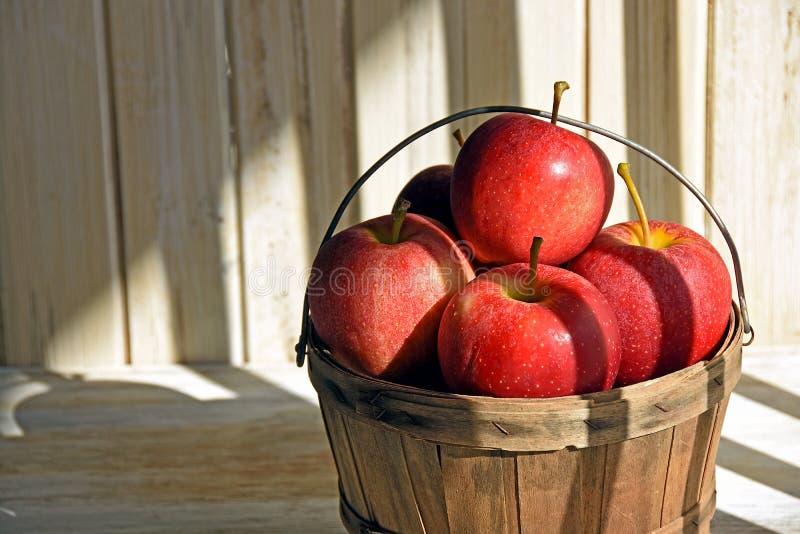 Manzanas Y Cesta Rojas En Luz Del Sol Rayada Imagen de archivo - Imagen ...