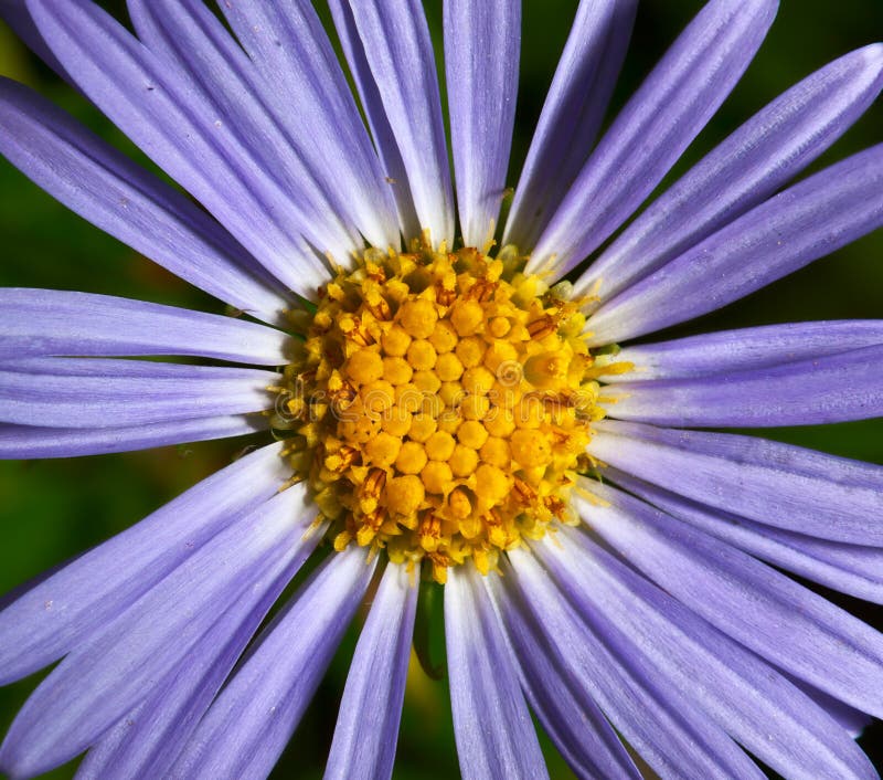 Fondo Azul Del Modelo Del Efecto Del Fractal Del Extracto Del Espiral ...