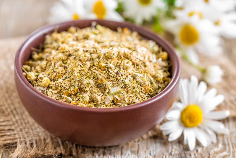 Manzanilla seca imagen de archivo. Imagen de flores, fondo - 48358835