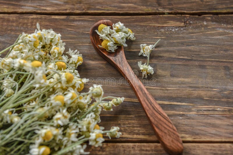Manzanilla Seca En La Tabla De Madera Foto de archivo - Imagen de ...