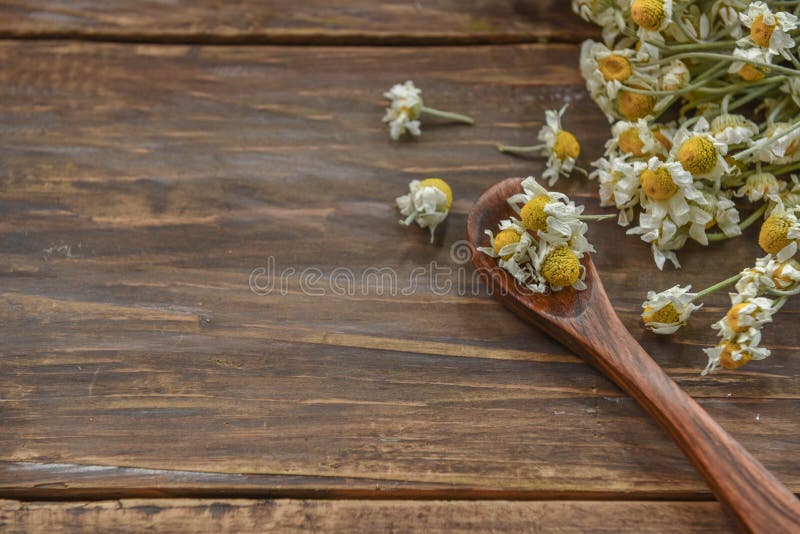 Manzanilla Seca En La Tabla De Madera Foto de archivo - Imagen de ...