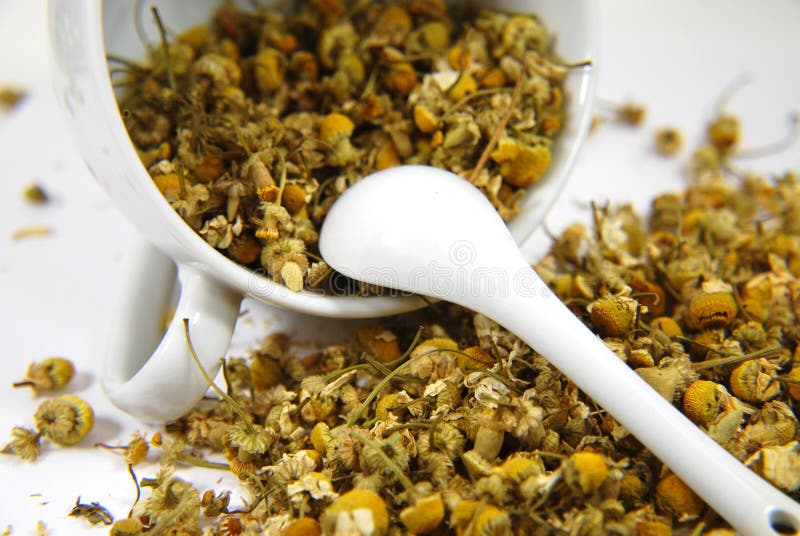 Manzanilla seca foto de archivo. Imagen de primer, hojas - 19157474