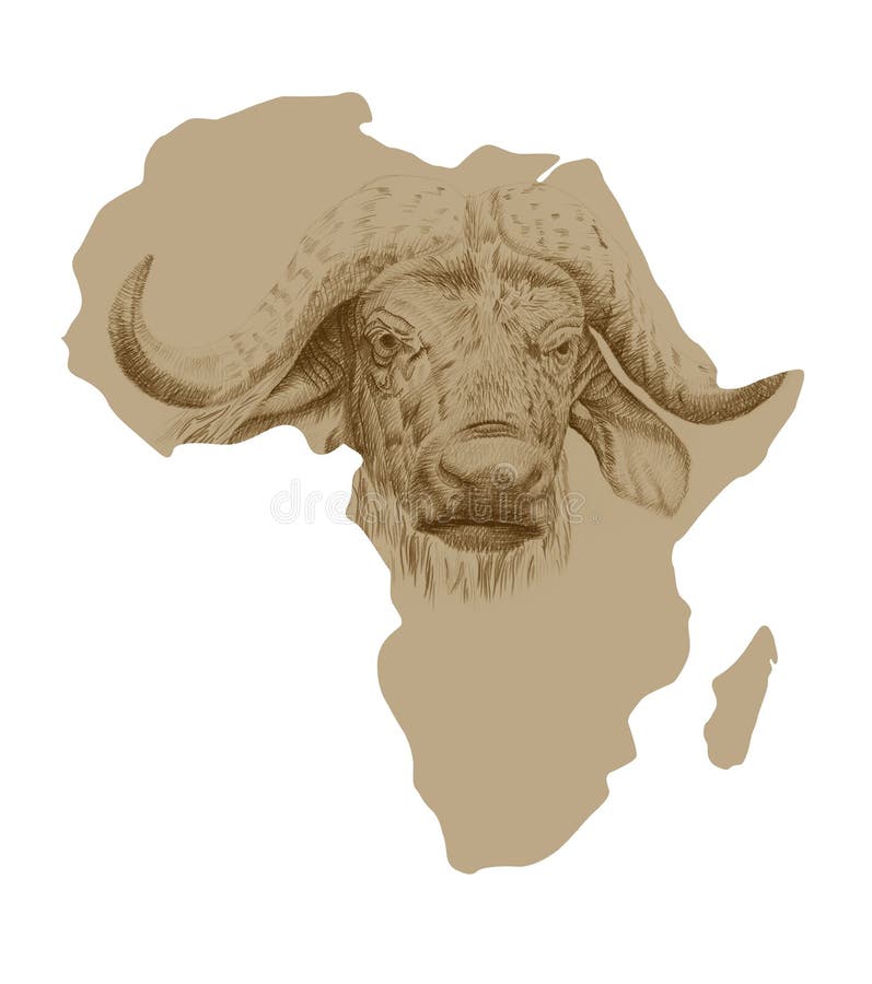 Map of Africa with Drawn Buffalo Stock Illustration - Illustration of ...