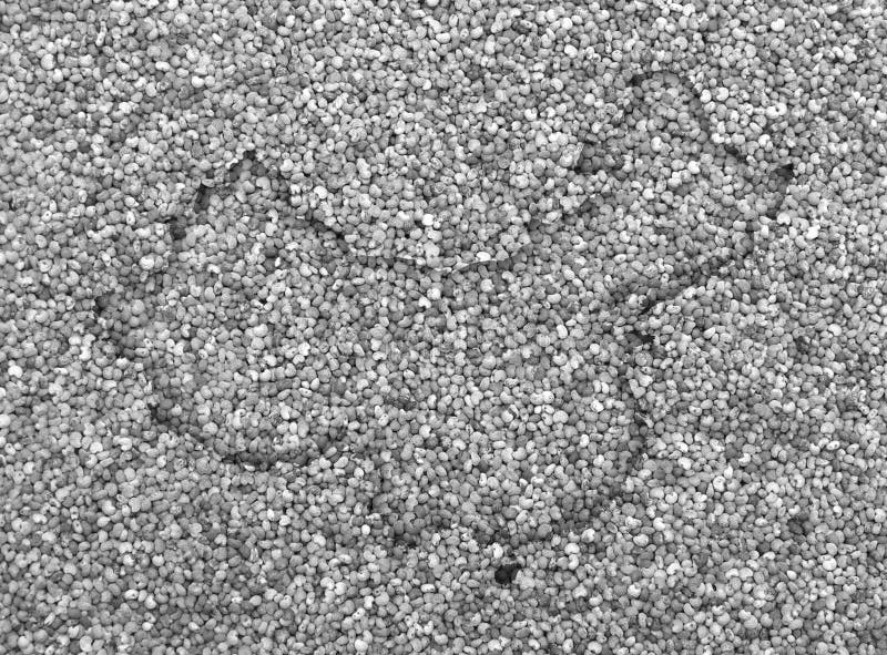 Map of China on Poppy Seeds Stock Image - Image of contour, country ...