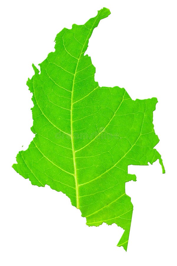 Map of Colombia in Green Leaf Texture on a White Isolated Background ...