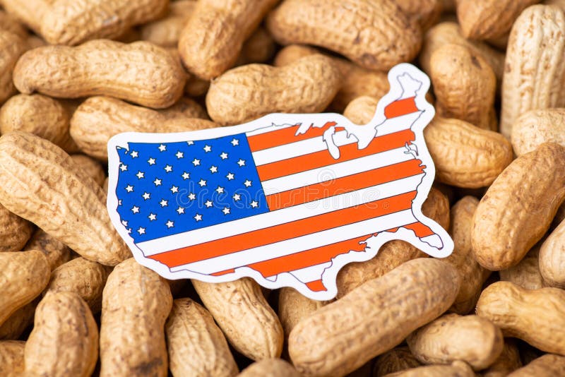 Map and Flag of USA on Peanuts Stock Image - Image of growing, tasty ...