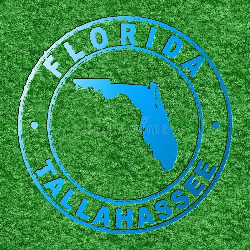 Map of Florida, Forest with Water Map Stock Illustration - Illustration ...