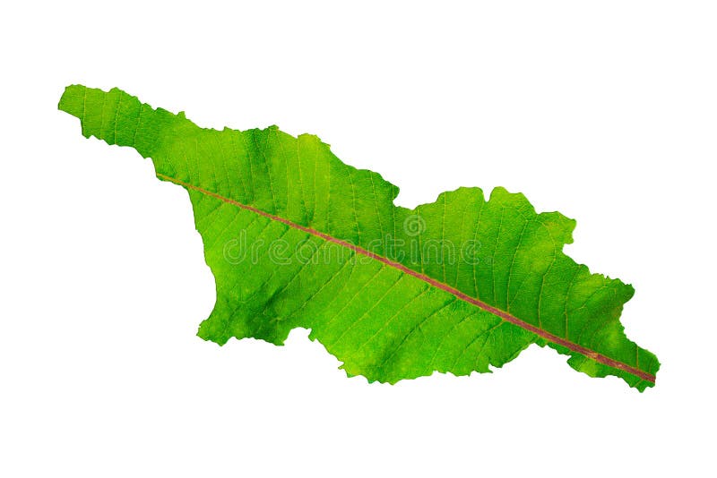 Map of Georgia in Green Leaf Texture on a White Isolated Background ...