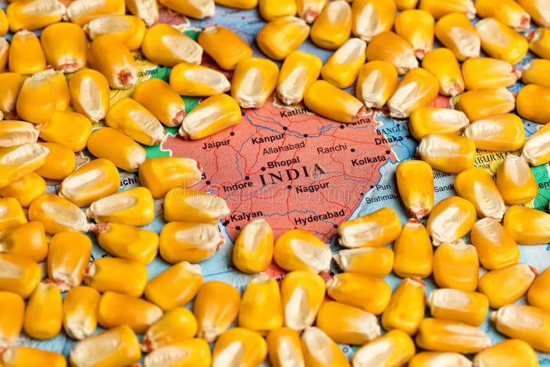 Map of India Surrounded by Corn Kernels Stock Photo - Image of ...