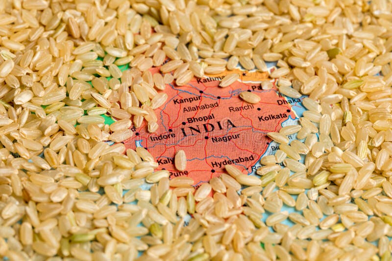 Map of India Surrounded by Rice. Stock Image - Image of closeup ...