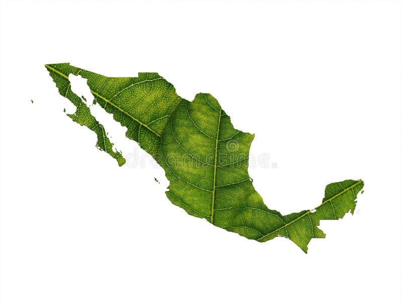USA Map Made Out of Green Leaves Isolated on White Background Stock ...