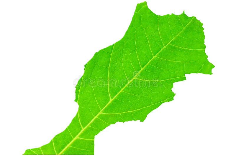 281 Moroccan Map Stock Photos - Free & Royalty-Free Stock Photos from ...