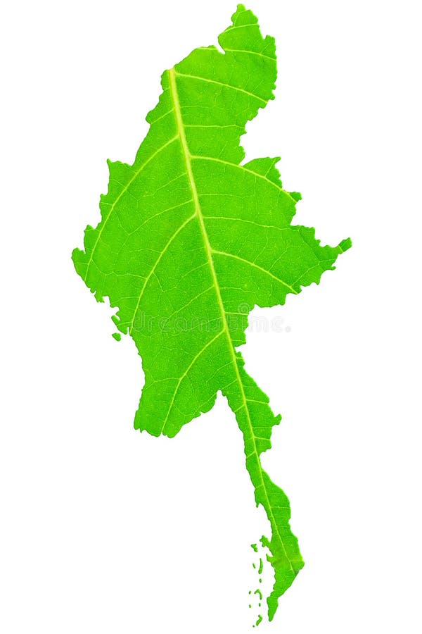 Map of Myanmar in Green Leaf Texture on a White Isolated Background ...