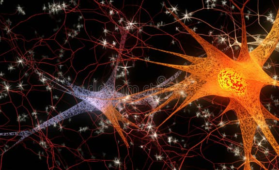 Map Neuronal Connections: Revealing Patterns and New Neurons. Stock ...