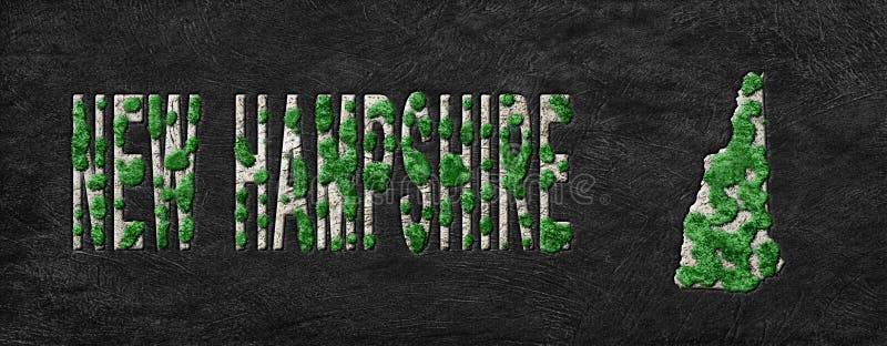 Map of New Hampshire Reforestation Green Agenda Stock Illustration ...