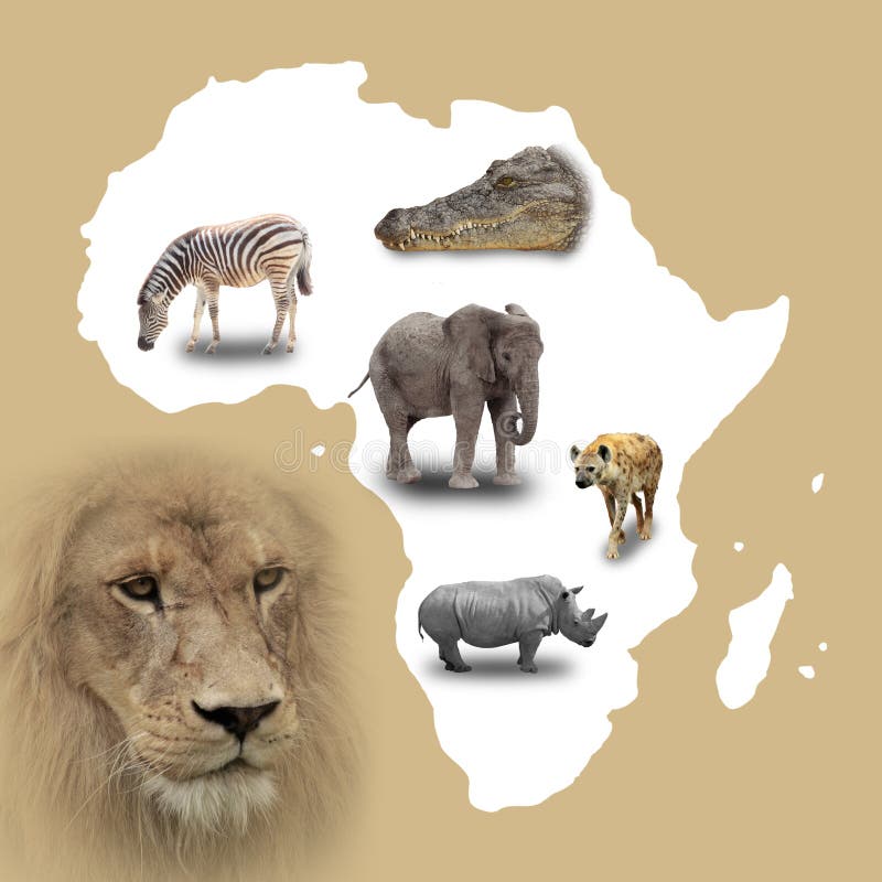 Continente Africano Con Mapa Del Mundo Animal. Establecer Flora De ...
