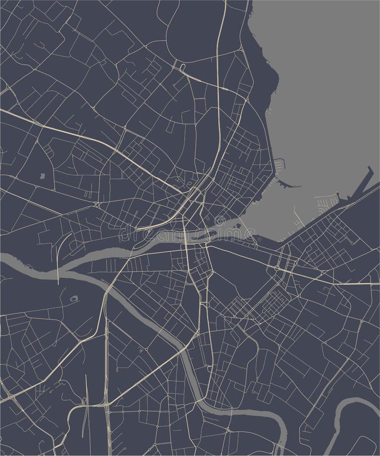 Mapa De La Ciudad De Ginebra, Suiza Ilustración del Vector ...