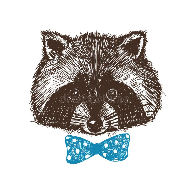 Mapache Lindo Dibujado Mano Del Concepto En Corbata De Lazo Vector ...