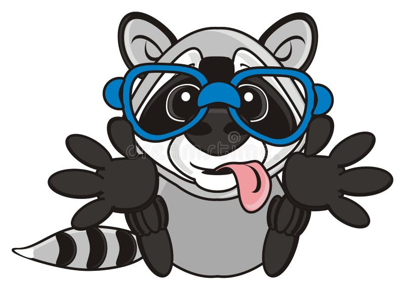 Mapache Que Sienta Y Que Tira De Las Piernas Al Abrazo Stock de ...