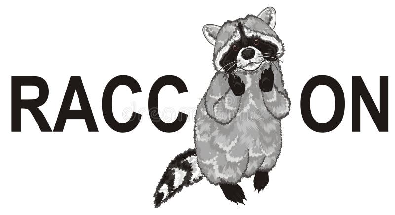 Mapache con las letras stock de ilustración. Ilustración de blanco ...