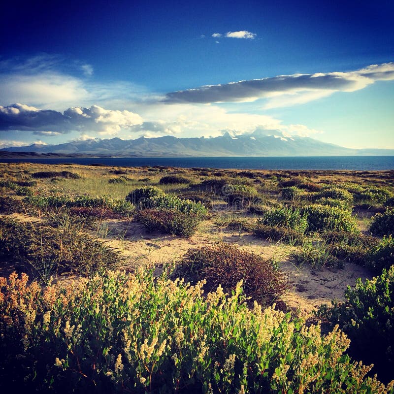 Mapam stock photo. Image of snow, plain, atmosphere, moutain - 43952336