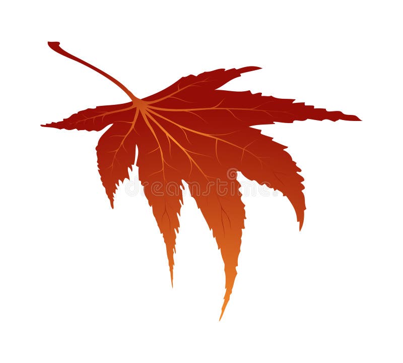 Maple Autumn Leaf stock vector. Illustration of september - 294089083