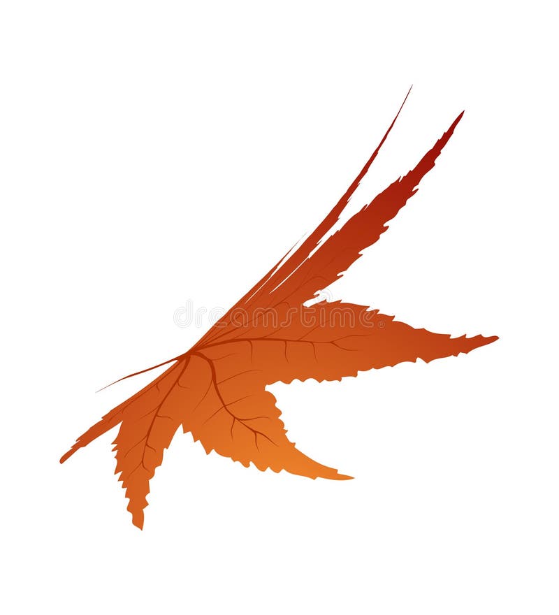 Maple Autumn Leaf stock vector. Illustration of pattern - 294089101