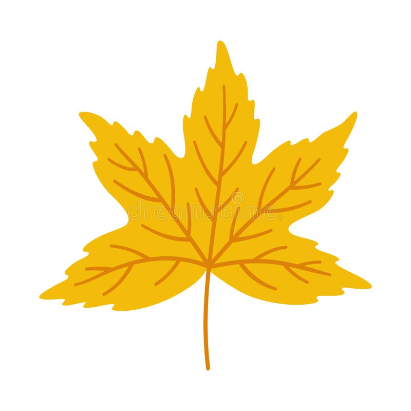 Maple Autumn Leaf on White Background, Vector Stock Vector ...