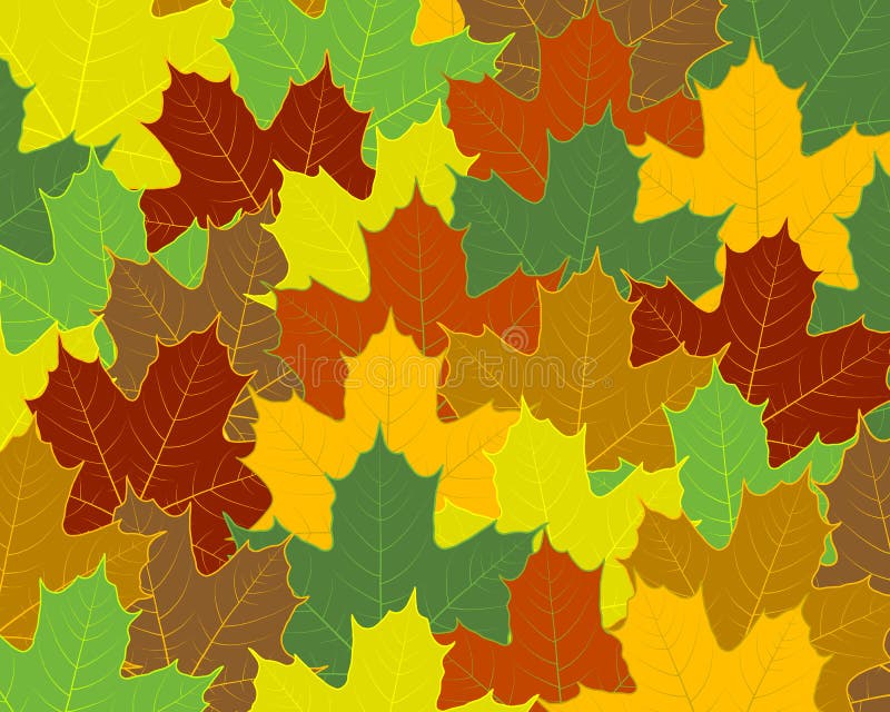 Maple Background Picture. Image: 6476509