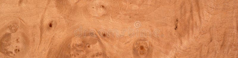 Maple Briar Veneer with Unique, Swirling Eye Patterns and Warm Tones ...