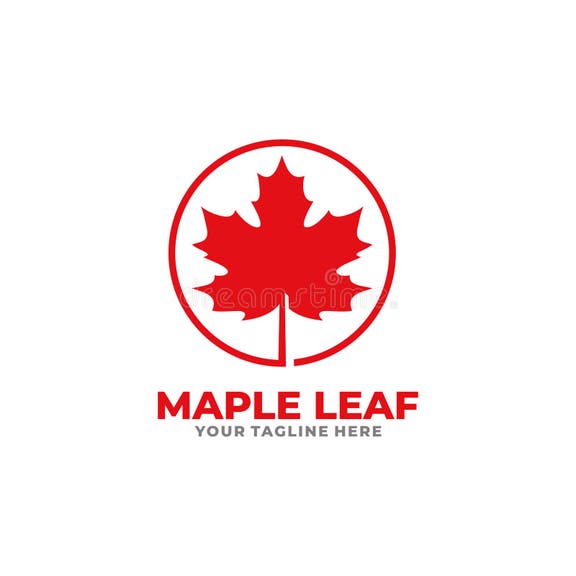 Maple logo design stock vector. Illustration of leaf - 269642479