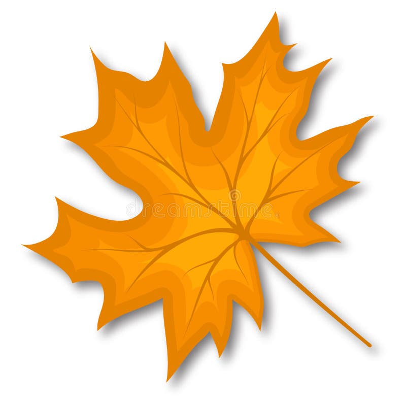 Maple Fall Leaf stock vector. Illustration of cartoon - 259360752