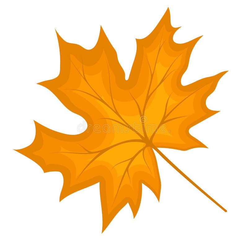 Maple Fall Leaf stock vector. Illustration of color - 259360726