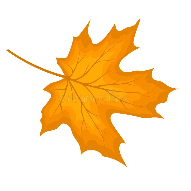 Maple Fall Leaf stock vector. Illustration of fall, object - 259360738
