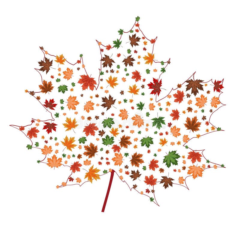 Maple Fallen Leaves of Various Colors and Sizes Fill the Silhouette of ...