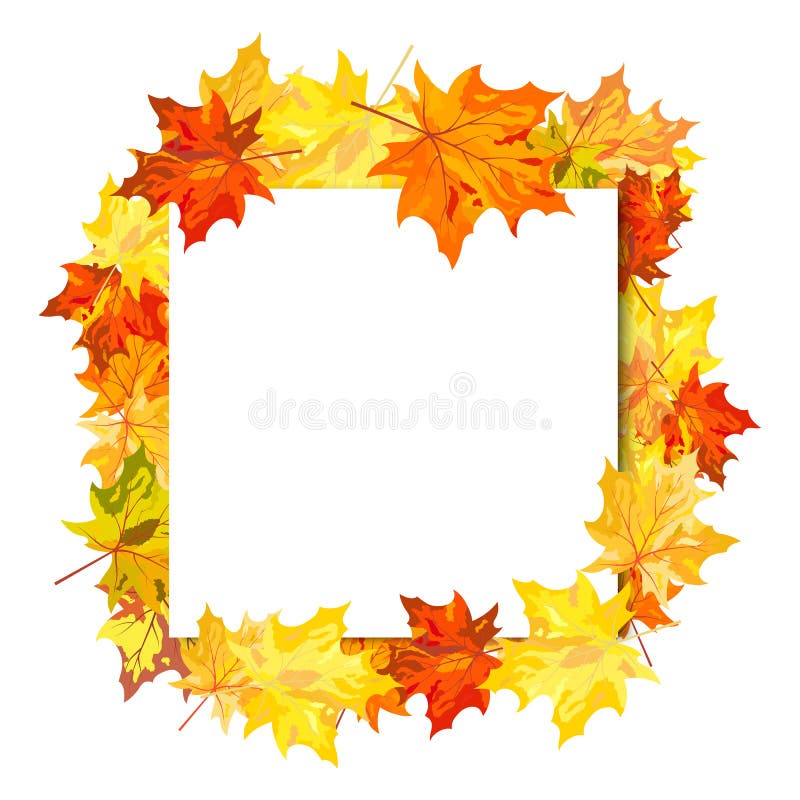 Maple Frame stock vector. Illustration of plant, forest - 178458496