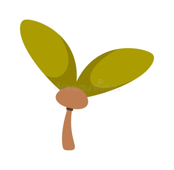 Maple Helicopter Tree Seed Design Stock Vector - Illustration of design ...