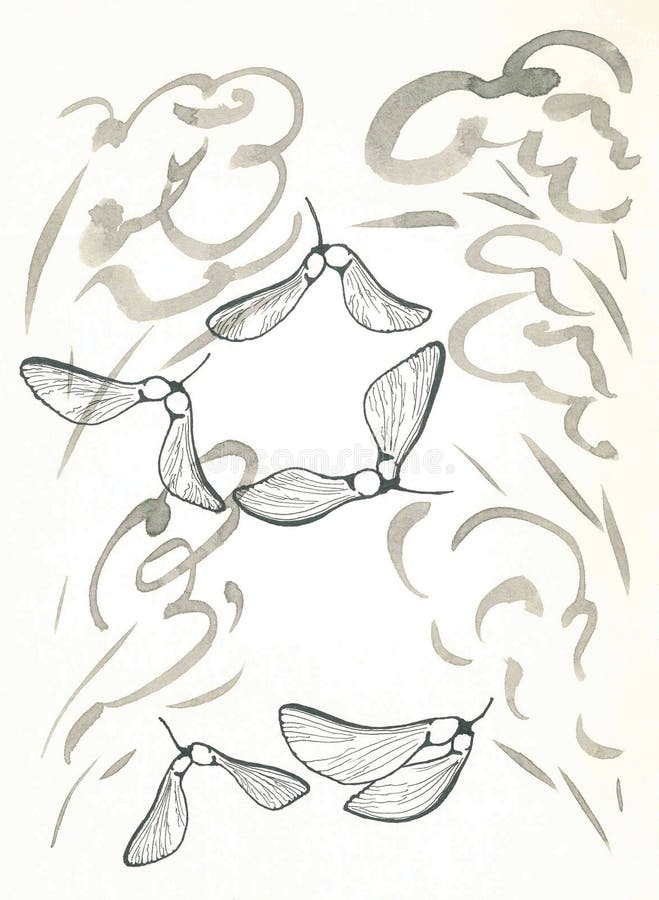 Flying Maple Seeds on the Background of Abstract Vegetation Stock ...